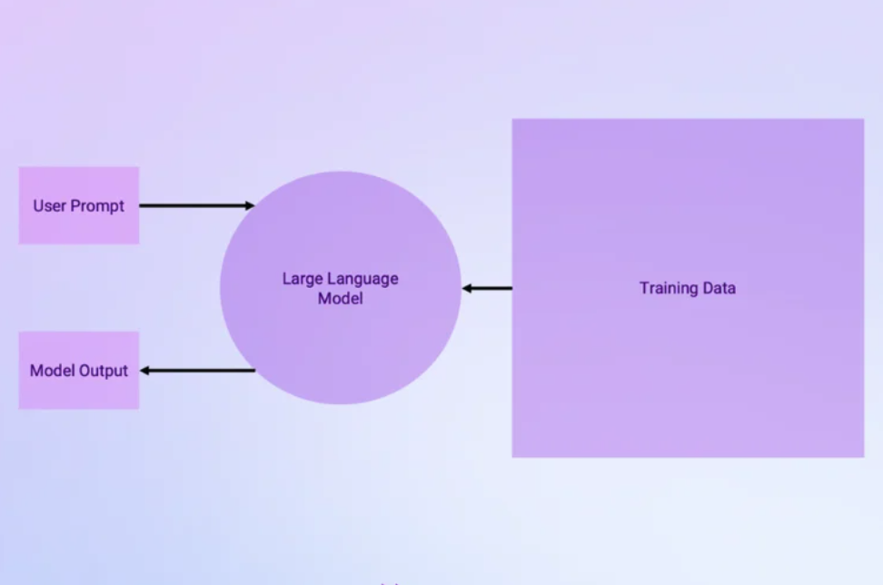 Rethinking Large Language Models for Efficiency and Performance